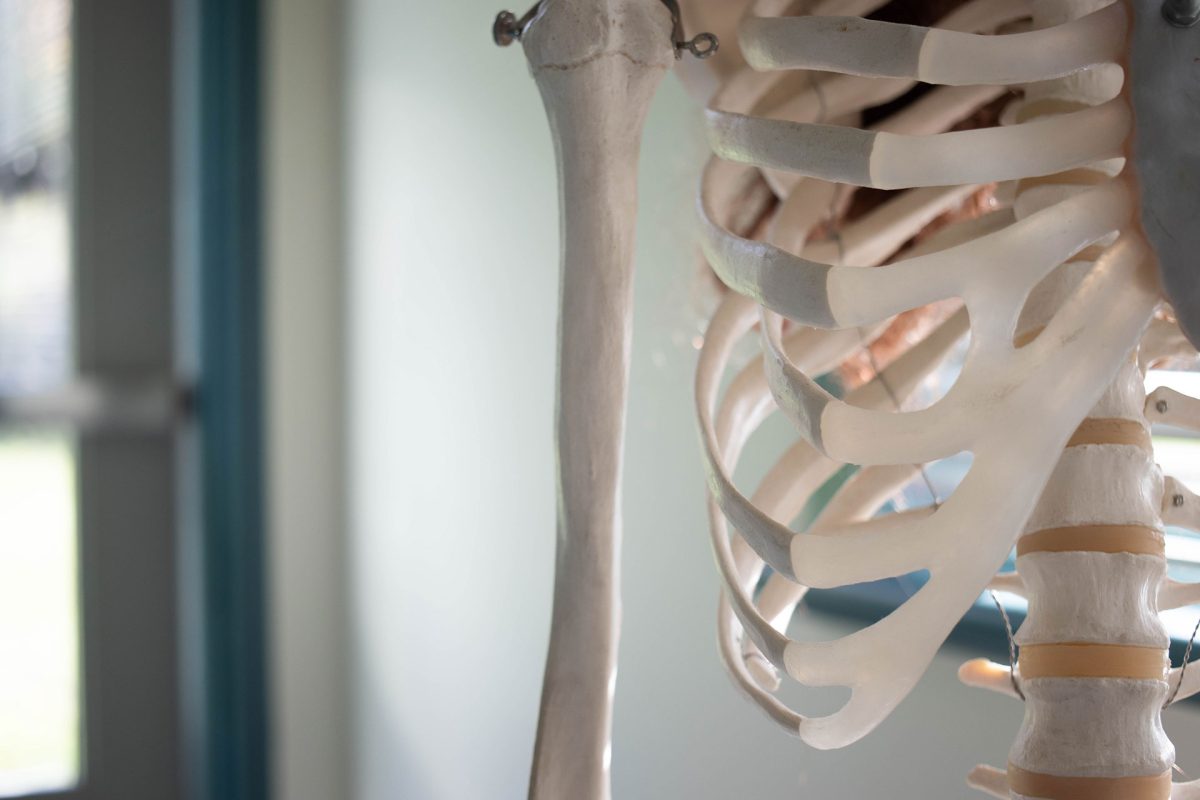 Osteoarthritis GLA:D Program - ConnectWell Osteoarthritis GLA:D Program - ConnectWell